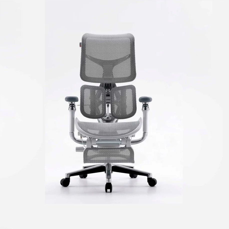 SIHOO Doro S300 Ergonomics Executive Office Chair with Footrest Grey ...